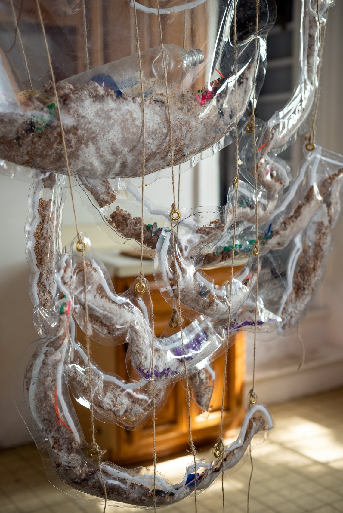 On view: Home Is Where the Plastic Eating Stomach Is – elizabethdemaray